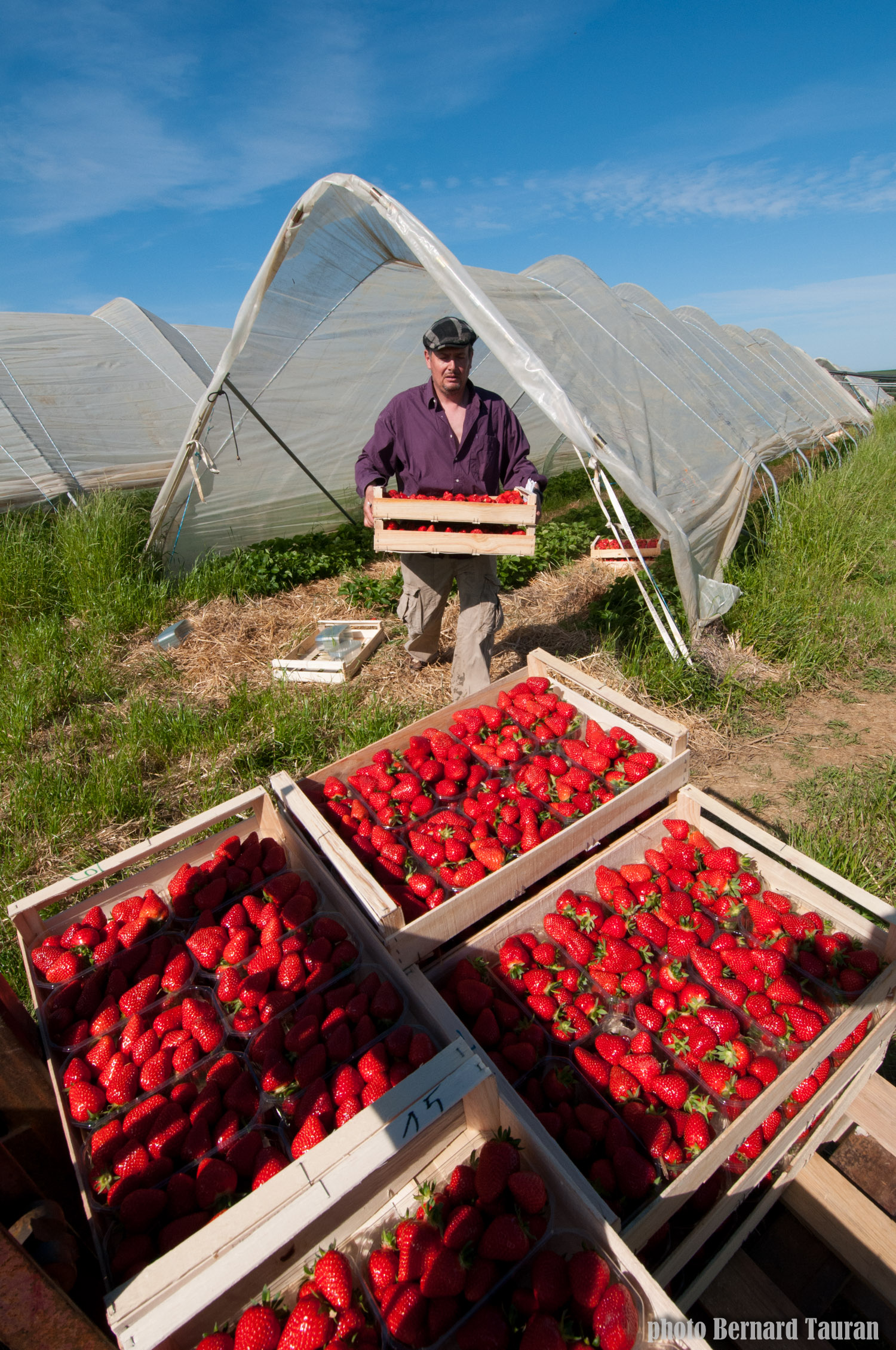 Cabso : coopérative de fruits et légumes bio 100% sud-ouest ! - Bio ...